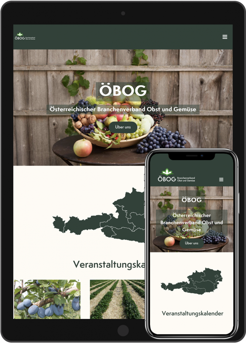 PROJECTS - RFOX MEDIA